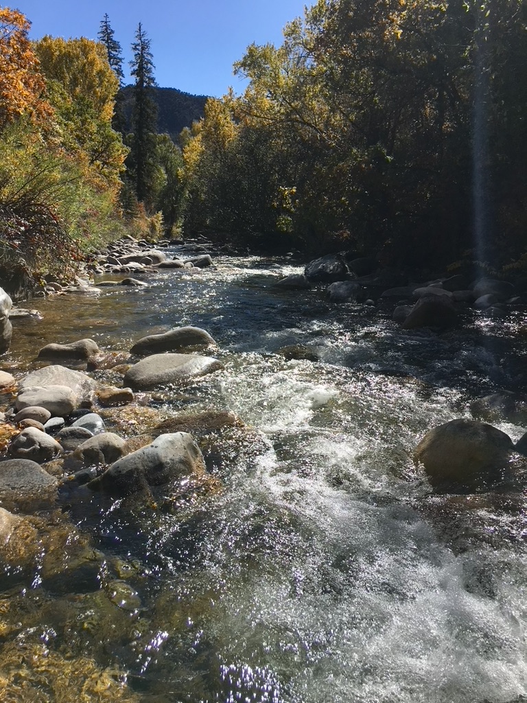 Friends of Canyon Creek - Supporting Nature and Canyon Creek