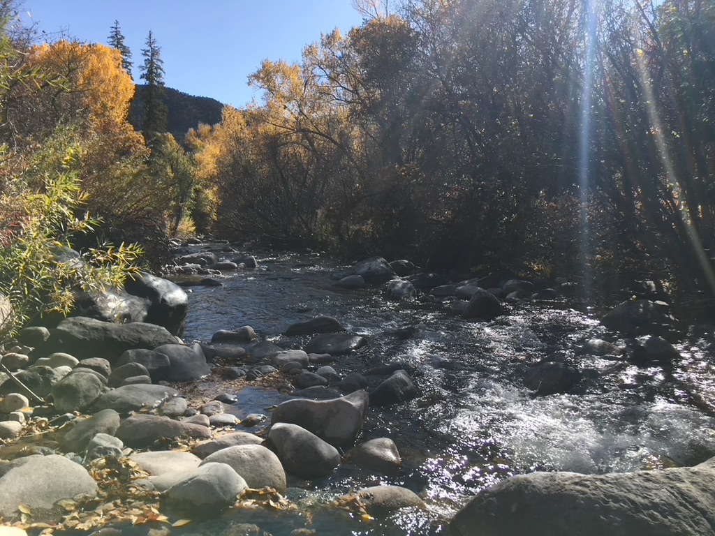 Friends of Canyon Creek - Supporting Nature and Canyon Creek